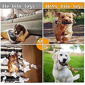 Yipetor Durable Dog Chew Toys 6 Pack, Cotton Rope Rubber Balls Chew Toy, Indestructible, Convex Design for Puppy Small Medium Large Dogs, Tug of War, Fetching, Puppy Teething Toy for Boredom, Gift