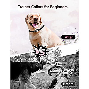 PATPET Dog Training Collar with Remote(8-100 lbs), Rechargeable Shock Collar for Medium Dogs, Up to 1000 ft Remote Range IPX7 Waterproof Dog Shock Collar