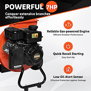 EFCUT C30 Wood Chipper 20:1 Reduction Ratio 3-in-1 Multi-Function Wood Chipper [Bundle Deal]