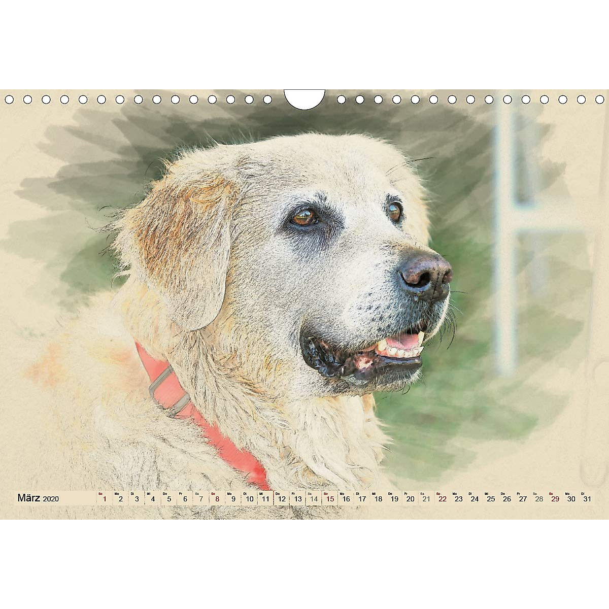 Golden Retriever 2020 (Wandkalender 2020 DIN A4 quer): Golden Retriever im kunstvollen Aquarell-Stil. Jedes Monatsmotiv gleicht einem kleinen Kunstwerk (Monatskalender, 14 Seiten )