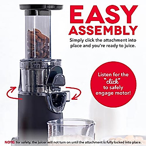 DASH Deluxe Compact Masticating Slow Juicer, Easy to Clean Cold Press Juicer with Brush, Pulp Measuring Cup, Frozen Attachment and Juice Recipe Guide - Black
