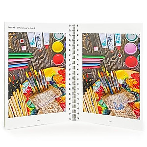 Picture Puzzles: Spot the Difference: More Than 1,000 Differences to Find! Adult Puzzle Book Includes Spiral Bound / Lay Flat Design (Brain Busters)