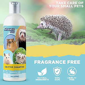Critter Shampoo for Small Pets - 8oz Small Animal Fragrance Free Shampoo - Pet Shampoo for Small Critters Including Ferrets, Guinea Pigs, Rabbits, Hedgehogs, Hamsters & Sugar Gliders