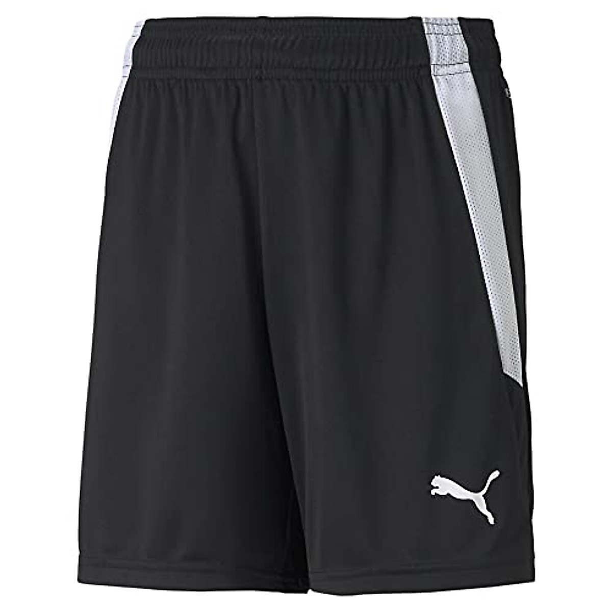 PUMA unisex child Teamliga Shorts, Puma Black-puma White, X-Small US