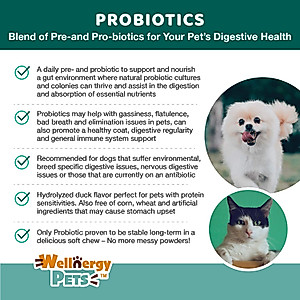 Wellnergy Daily Probiotic & Prebiotics Soft Chew for Dogs & Cats - Digestive Support for Diarrhea, Constipation, Upset Stomach, Indigestion & Gas - Helps Digestion, Allergy Skin & Immune Health 160ct