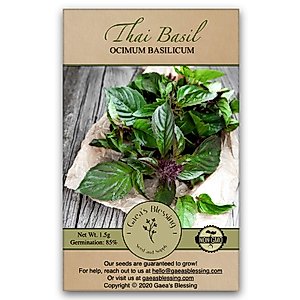 Gaea's Blessing Thai Basil Seeds - Non-GMO - with Easy to Follow Planting Instructions - Open-Pollinated Heirloom High Yield Heirloom 85% Germination Rate