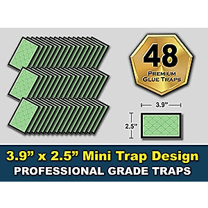 MaxGuard Mini Glue Traps (48 Traps) Non-Toxic Extra Sticky Glue Board Pre-Baited with Fruity Scent Attractant Trap & Kill Insects, Bugs, Spiders, Crickets, Scorpions, Cockroaches, Centipedes, Mice