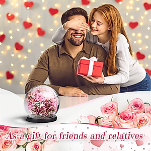 Tuanse 4-Piece Glass Dome Display Showcase with Wood Base - DIY Craft Keepsake Globe Display Case - Gifts for Women, Wedding Tabletop Centerpiece Decoration