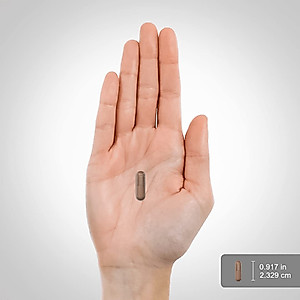 Piping Rock Arjuna Capsules | 4000 mg | 120 Count | from Arjuna Bark Herb Extract | Concentrated Extract | Herbal Supplement | Non-GMO, Gluten Free