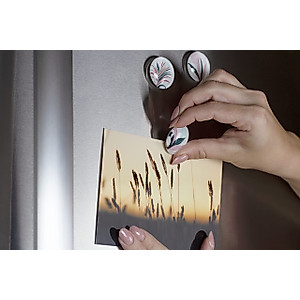 12 Pack Multicolor Plant Fridge Magnet Set, Strong Refrigerator Magnets for Whiteboard, Cute Magnets for Lockers, Neodymium Magnet Backing