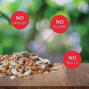 Lyric Woodpecker Wild Bird Seed, No Waste Bird Seed with Nuts, Dried Fruit & Shelled Seeds - 5 lb. Bag