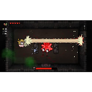 The Binding of Isaac: Repentance(ザ バインディング オブ アイザック リペンタンス) -Switch