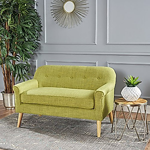 Christopher Knight Home Mariah Mid-Century Modern Loveseat, Muted Green