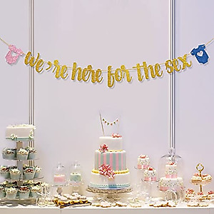 T-minimalist We're Here for The Sex Banner, Funny Baby Gender Reveal Party Decorations, Baby Shower Party Hanging Decors Supplies, Gold Gliter Paper Garland / Cute Baby Clothes Sign Banner 11.7 Feet