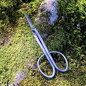 KAKURI Bonsai Twig Scissors 8.2" (210 mm) Professional Bonsai Tool, Japanese Stainless Steel, Silver, Made in JAPAN