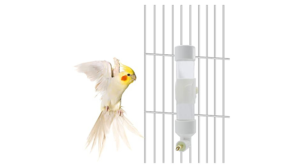 Automatic Bird Water Dispenser for Medium Birds