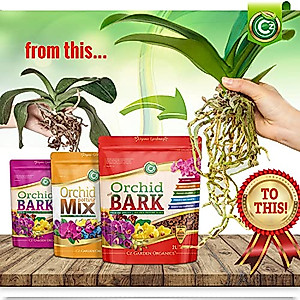 Organic Orchid Potting Bark - Made in USA Premium Mini Bark Garden Soil Amendment Mix for Proper Root Development of Phalaenopsis, Cattleyas, Indoor/Outdoor Plants, Reptile Terrarium Bedding and more!