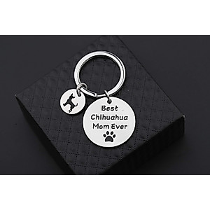 Lywjyb Birdgot Chihuahua Mom (Chihuahua Mom)