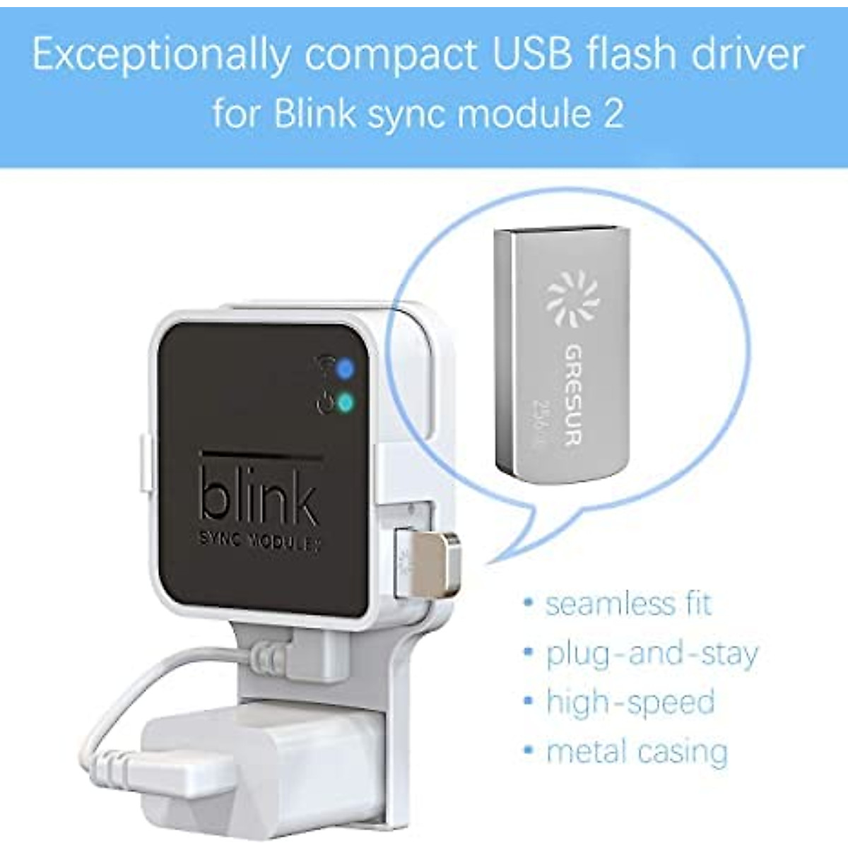 256GB Blink USB Flash Drive for Local Video Storage with The Blink Sync Module 2 Mount (Blink Add-On Sync Module 2 is NOT Included),2Pack