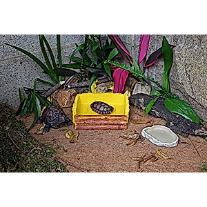 Faux Wood Ramp and Food Bowl for Amphibians, Reptiles and Other Little Critters, Made from Premium Non-Toxic Resin - Large Size