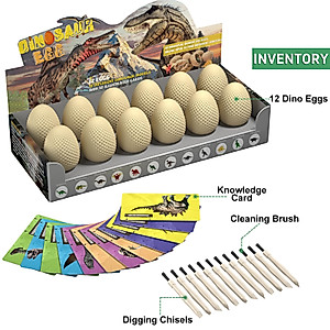 EARTH'SCODE Dinosaur Eggs, 12 Pcs Dino Eggs Excavation Dig Kit, Dinosaur Toys for Dinosaur Party Gifts for Kids 6-12 Years Old