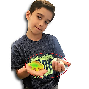 JA-RU Magic Grow Growing Dinosaur Toy (1 Egg Assorted) Surprise Hatching Dino Eggs in Water for Kids. Jurassic Party Favors Easter Basket Stuffers Pinata Fillers. 312-1A
