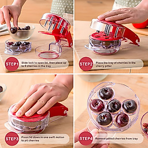 FONNYXK Cherry Pitter Tool - Push-Pull Cherry Seed Remover 6 at a Time - Portable Cherry Pitter Tool Pit Remover with Lock Design - Great Tool for Kitchen, Cake Shop, Fruit Salad (Red)