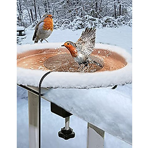 Bird Bath De Icer: for Outdoors in Winter, 6 Ft Cord, 60W Thermostatic Control Overheat Automatic Pause, Deicer for Bird Bath, Squirrel,Hummingbird Etc