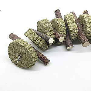 Shelltech Rabbit Chew Toys, Apple Twigs with Timothy Cakes Hanging Toys for Bunny, Rabbits, Chinchilla, Guinea Pigs, Hamsters (Timothy Cake - 2 Pack)