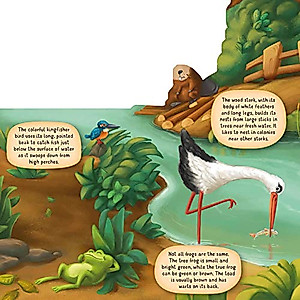 Discovering the World of Nature Along the Riverbank (Happy Fox Books) Board Book for Kids Ages 3-6 to Learn About Animals Living In, Near, or Under Water, plus Fun and Educational Facts (Peek Inside)