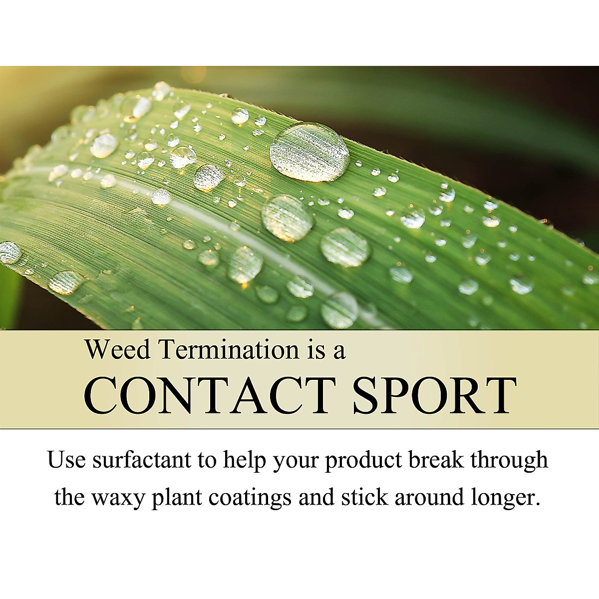 Liquid Harvest Mesotrione Bundle - 8 Ounces - Mesotrione Concentrate (Compare to Tenacity) - Pre and Post-Emergent Weed Killer for Lawn and Turf Grasses with 8oz Surfactant