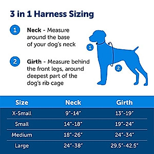 PetSafe 3 in 1 Dog Harness - No Pull Solution for Dogs - Reflective Dog Harness - Front D-Ring Clip Helps Stop Pulling - Comfortable Padded Straps - Top Handle Enhances Control - Teal - Medium