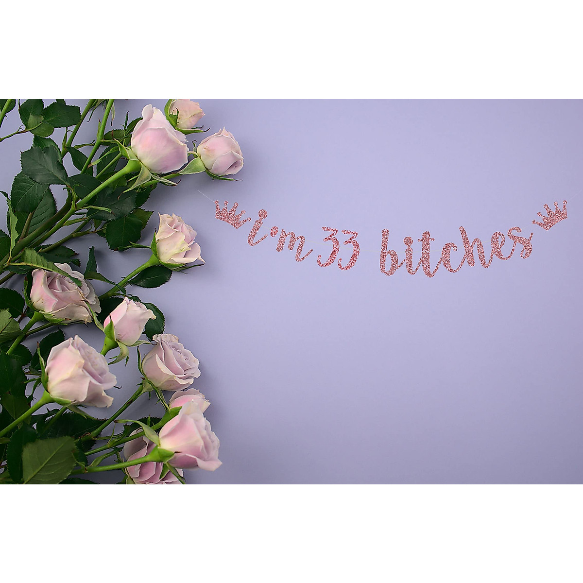 Glitter I'm 33 Bitches Banner, Happy 33rd Birthday Decor, Cheers to 33 Years Old Bunting Garlands, 33rd Birthday Party Decoration Supplies（Rose Gold）
