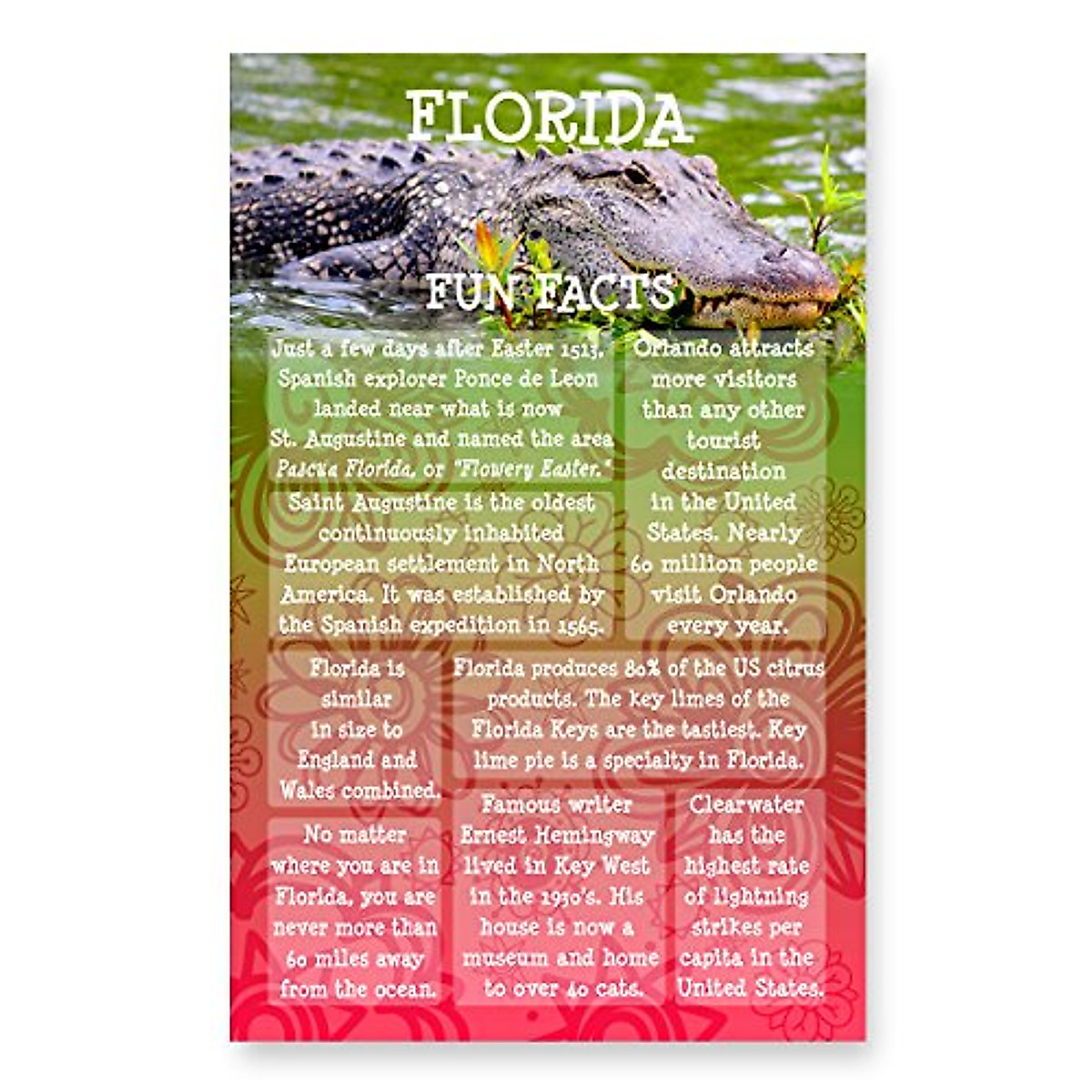 FLORIDA FUN FACTS postcard set of 20 identical postcards. US state trivia post card pack. Made in USA.