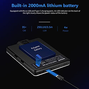 NEEWER LED Selfie Light with Front & Back Phone Clip, High Power 60 LED 2000mAh Rechargeable CRI 95+, 3 Light Modes, Portable Clip on Light for Phone/Tablet/Laptop, Zoom Call TikTok Video Fill Light