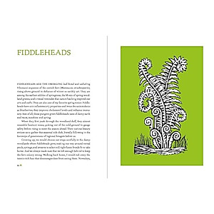 The Heirloom Gardener: Traditional Plants and Skills for the Modern World