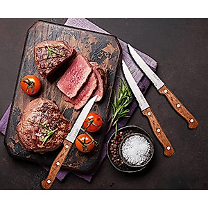 Steak Knives Set of 8 Utility Knives Steak Knife Cutlery Utensil Serrated Edge Steel…