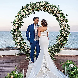 Arch Stand Backdrop,7.9FT Wedding Arch for Ceremony with Carrying Case Easy to Store and Carry, Round Backdrop Stand for Birthday Graduation Retirement Halloween Christmas Function Party Supplies