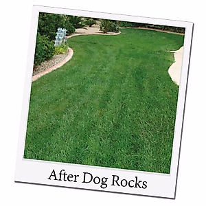 Dog Rocks - Prevent Grass Burn Spots by Urine - Save Your Lawn from Yellow Marks - 600g