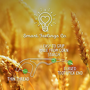 Biodegradable Dental Floss Picks 100 Count 2 Packs | Eco-Friendly Bamboo Like Straw Wheat Sustainable Mint Flavored Flossers for Kids and Adult Teeth Cleaning for The Enviromentally Conscious