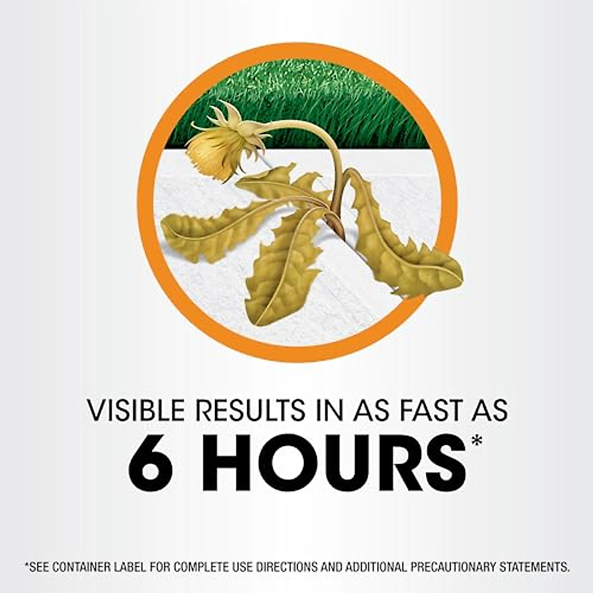 Roundup Poison Ivy Plus Tough Brush Killer₂ Concentrate, Visible Results in Hours, 32 fl. oz.