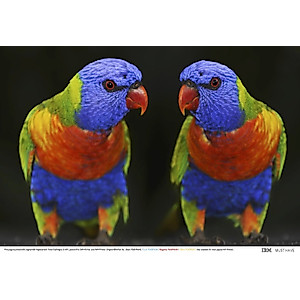 IBM Remanufactured Toner Cartridge - Alternative for HP 312A (CF381A)