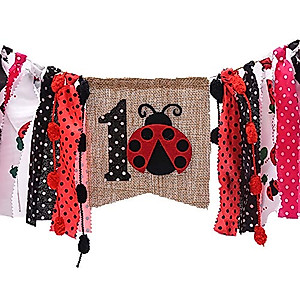 Ladybug Birthday Party Decorations Supplies Ladybug First Birthday High Chair Banner Garland Decoration First Birthday for Boy Girl 1st Birthday Decoration Cake Smash Photo Booth Backdrop Ladybug Party Supplies