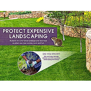 VOLE KING Plant Baskets - Gopher and Vole Baskets, 15 Gallon, Pack of 1 - Protect Plants, Trees, Flowers and Bulbs from Voles, Gophers and Moles - A One Time Solution, No Repellent Needed