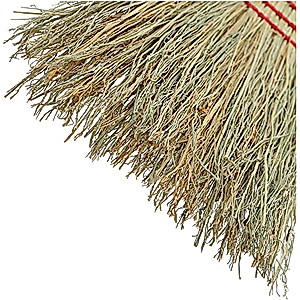 Genuine Joe - 80161 Whisk Broom