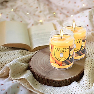 Pack of 2 Orange & Vanilla Odor Elimination Scented Candles Gift Set for Women, Soy Wax Aromatherapy Candles for Home