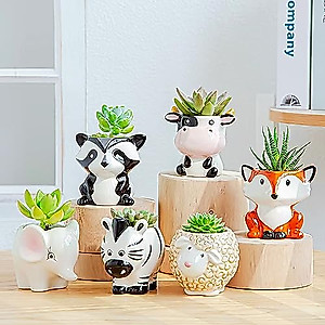 6 Pcs Air Plant Holders Cartoon Shaped Small Succulent Pot Animal Planter Small Ceramic Plant Pot with Drainage for Mini Plant Cactus Flower, Tillandsia Air Fern, Display Stand Home, Office Desktop