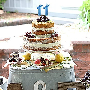 3inch Birthday Number Candle, 3D Candle Cake Topper with Crown Cake Numeral Candles Number Candles for Birthday Anniversary Parties (Blue, 1)