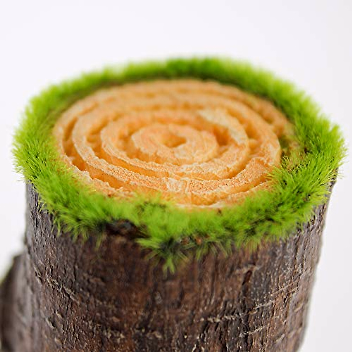 Penn-Plax Aqua-Flora Aquarium Living Resin Decoration with Embedded Glosso Plant Seeds – Tree Base – Safe and Healthy for Freshwater Fish