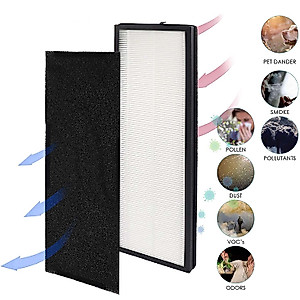 Nispira True HEPA Filter + Activated Carbon Pre Filter Compatible with Eureka NEA120 Air Purifier and Toshiba Smart WiFi Air Purifier. Compared to Part NEA-F1 NEA-C1. 1 Set